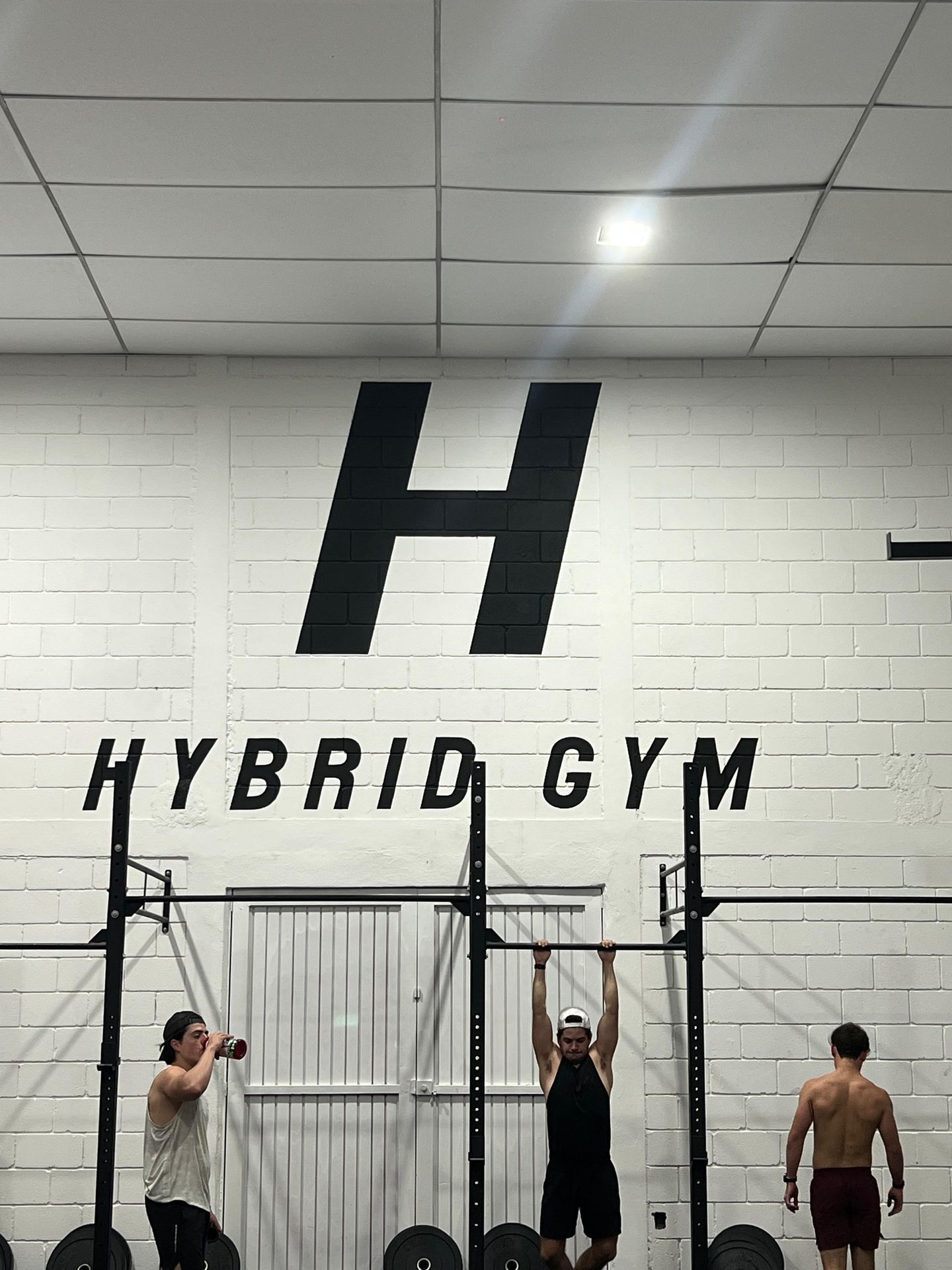 Hybrid Gym