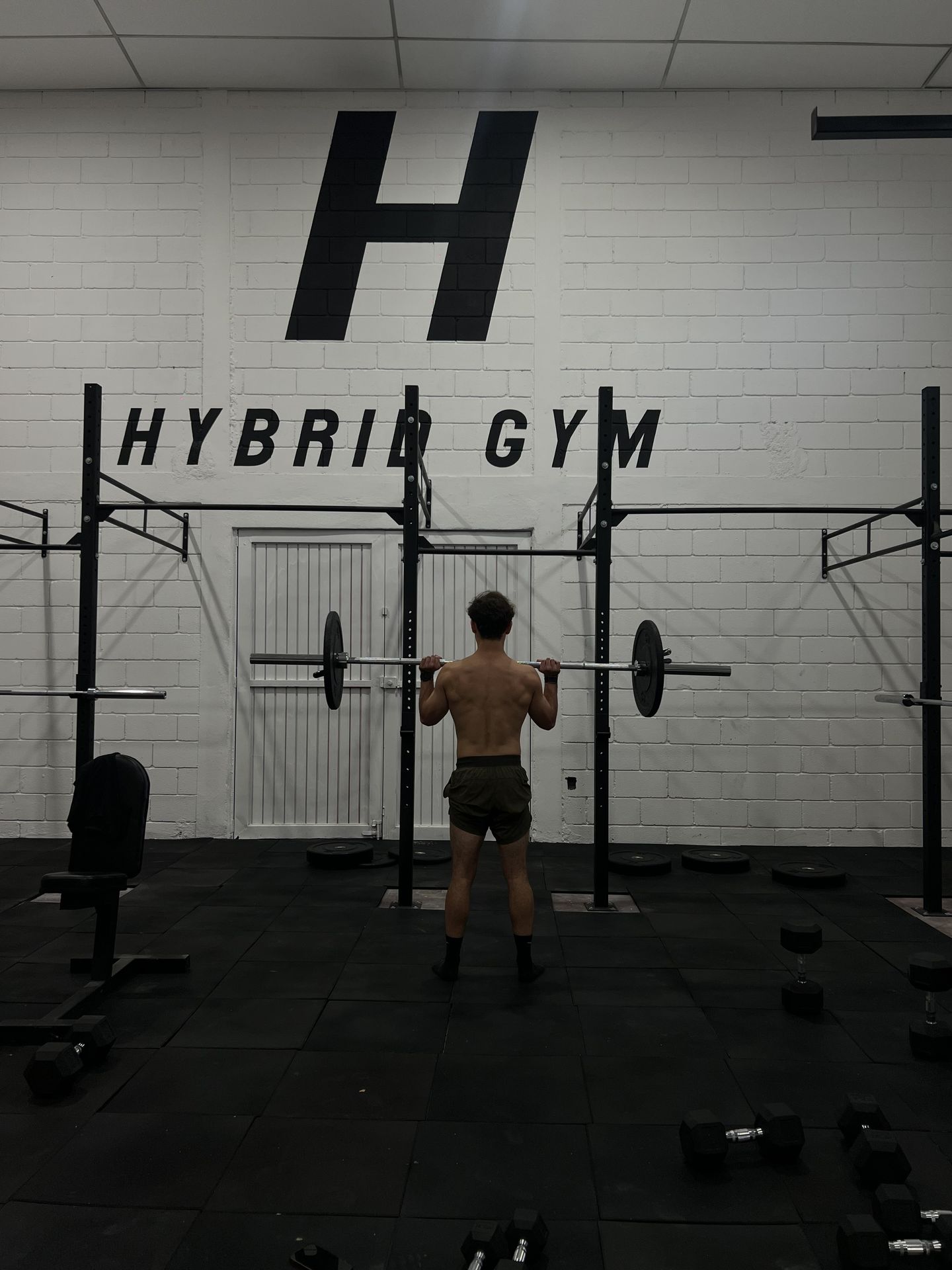 Hybrid Gym